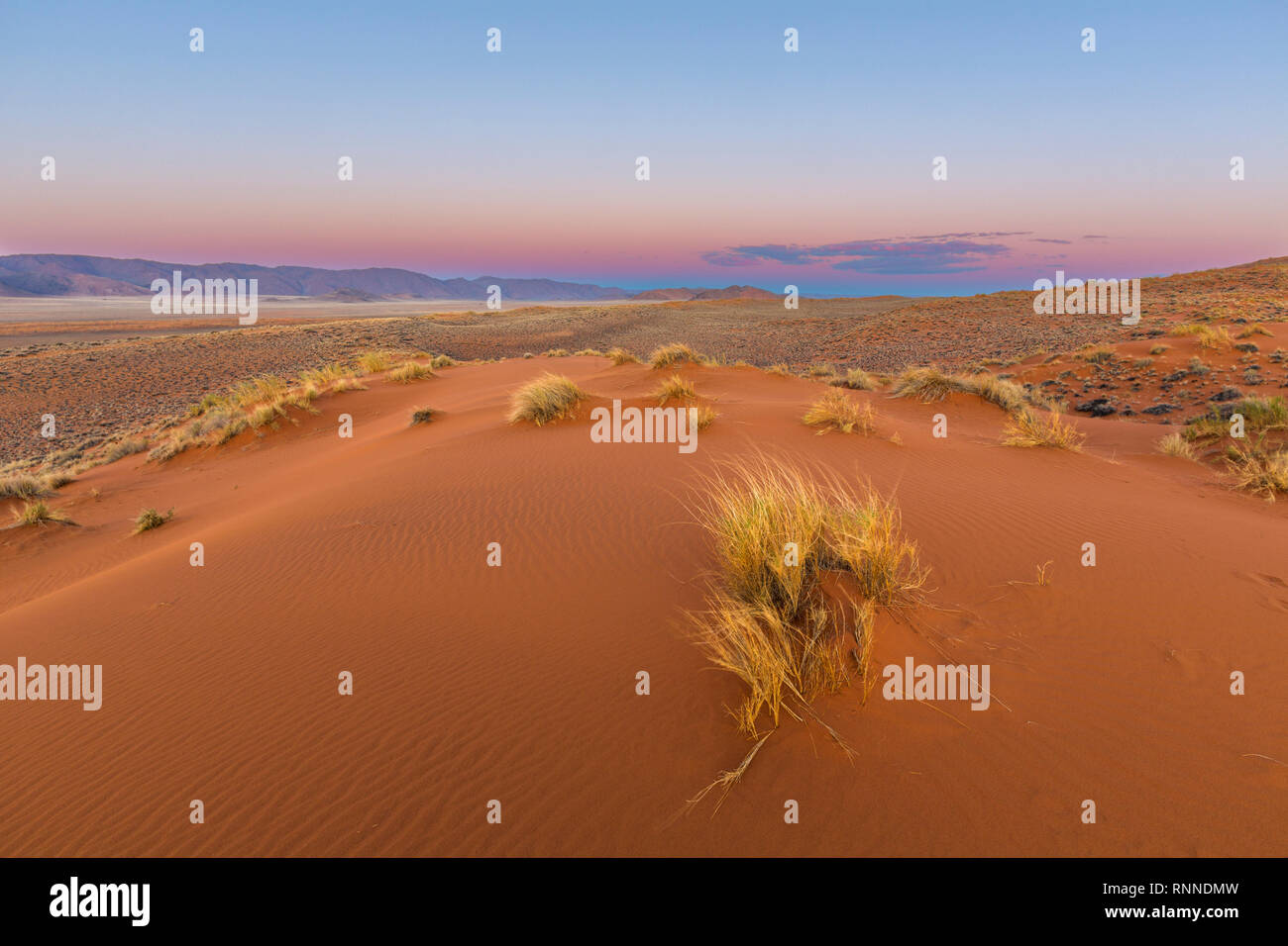 Kalahari colours hi-res stock photography and images - Alamy