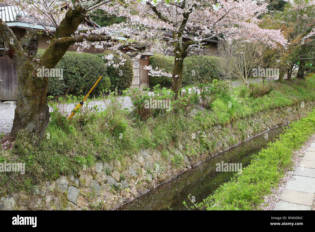 Kyoto, Japan - Philosopher's Walk, a hiking path famous for its cherry ...