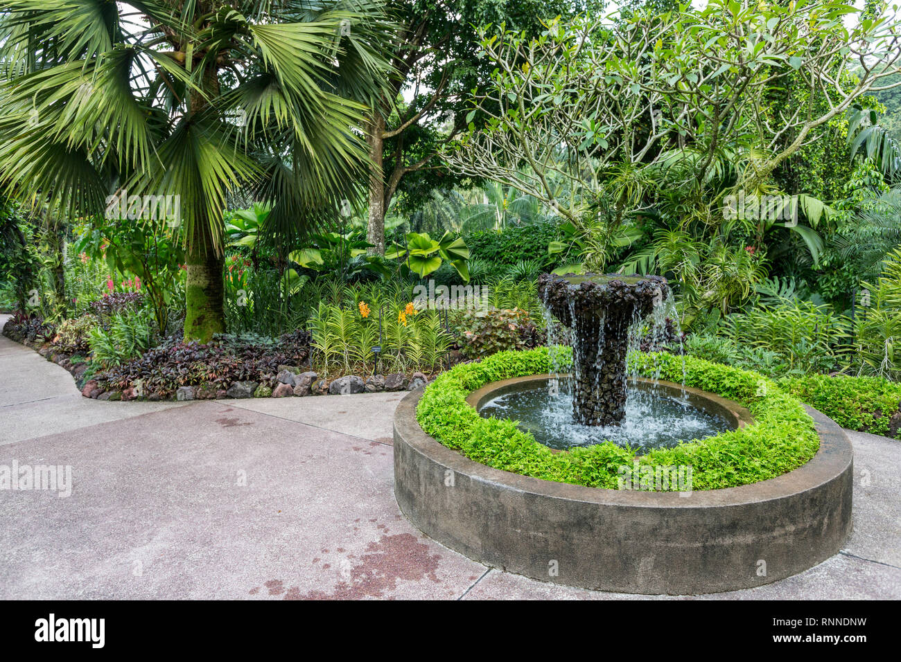 Singapore Botanic Garden, Fountain in National Orchid Garden Stock ...