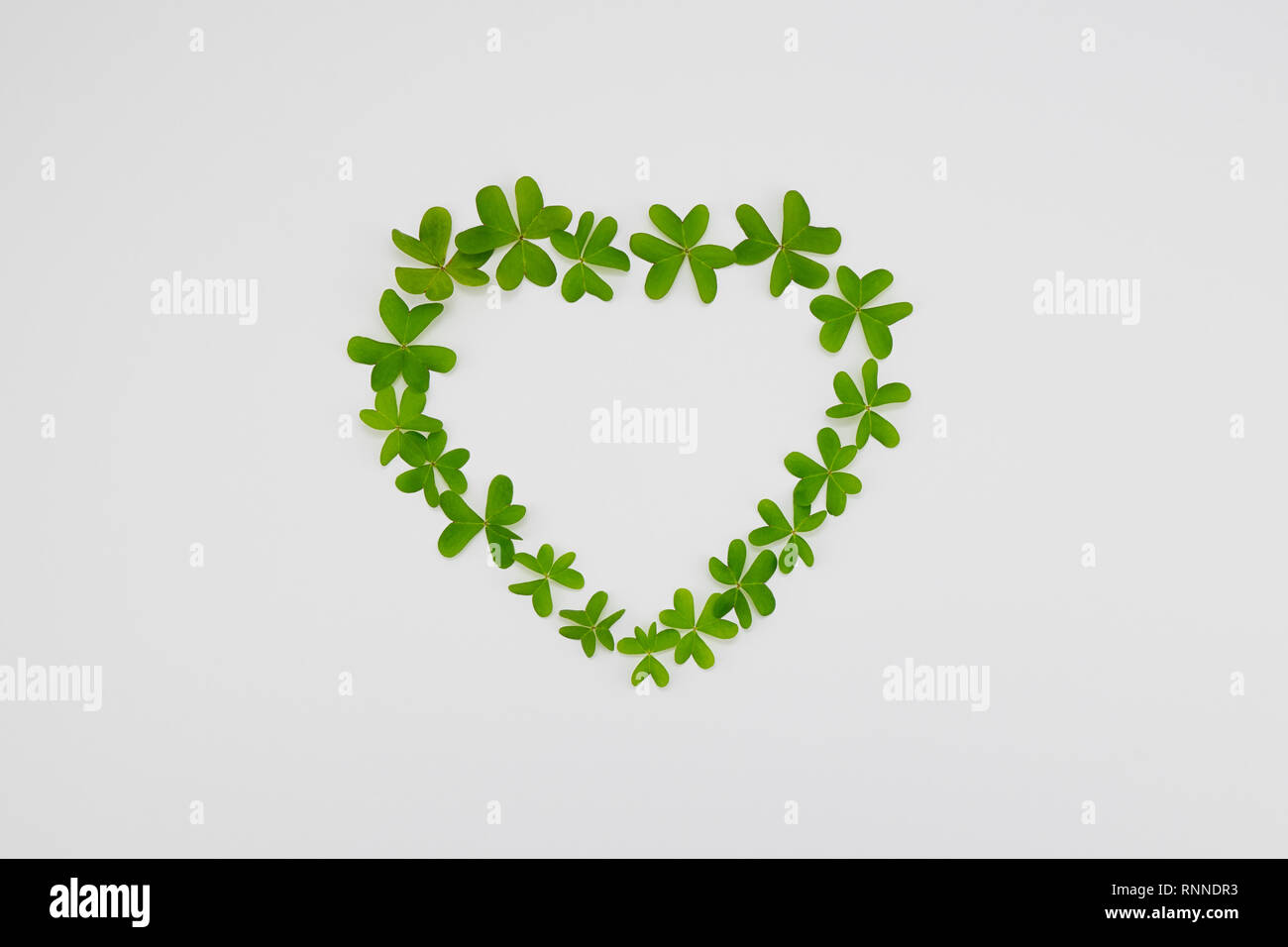 Natural minimal green heart frame from clover leaves, isolated on white ...