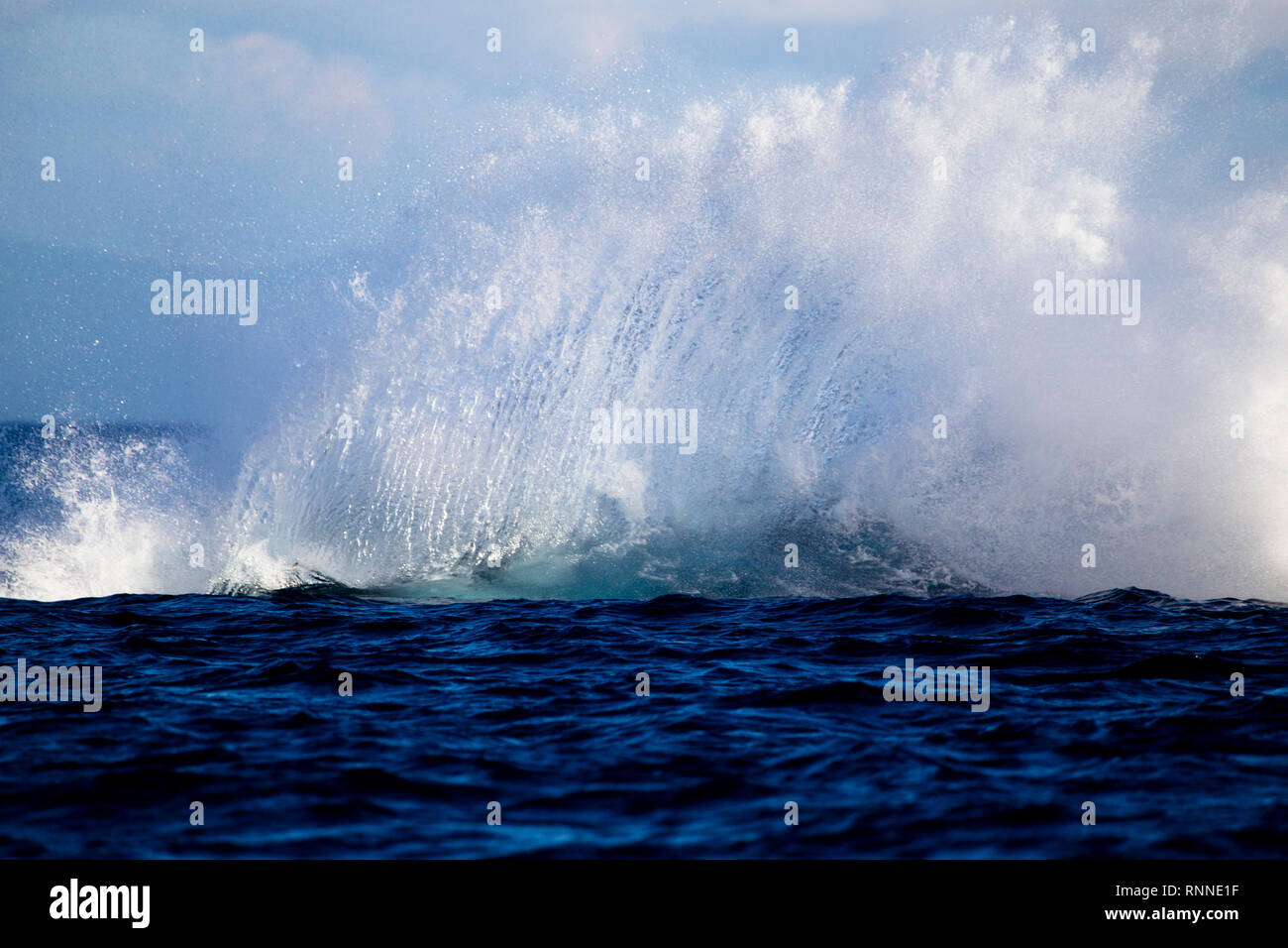 Humpback splash hi-res stock photography and images - Alamy