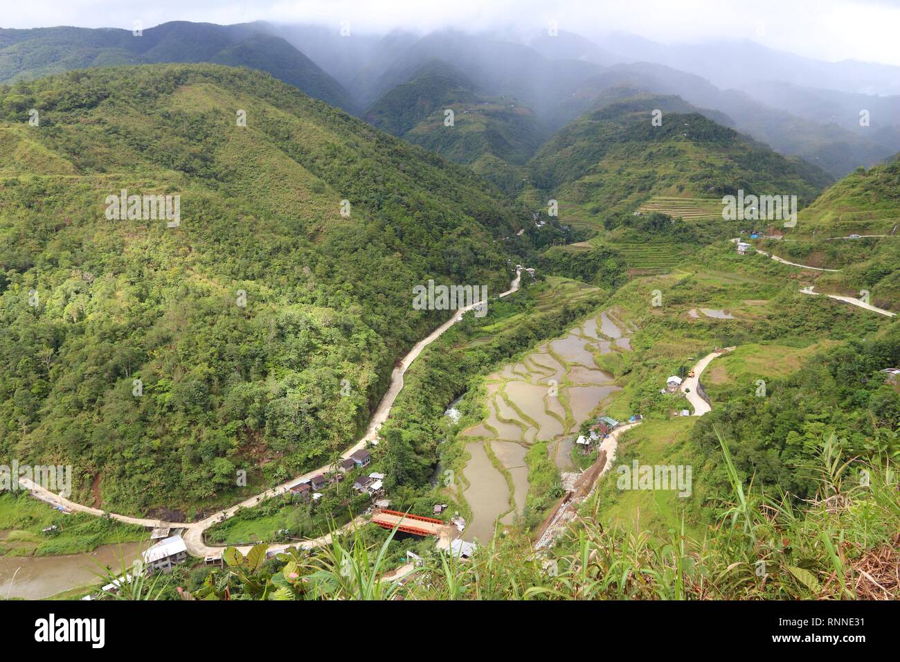 Philippines rice terraces - rice cultivation in Hungduan Stock Photo ...