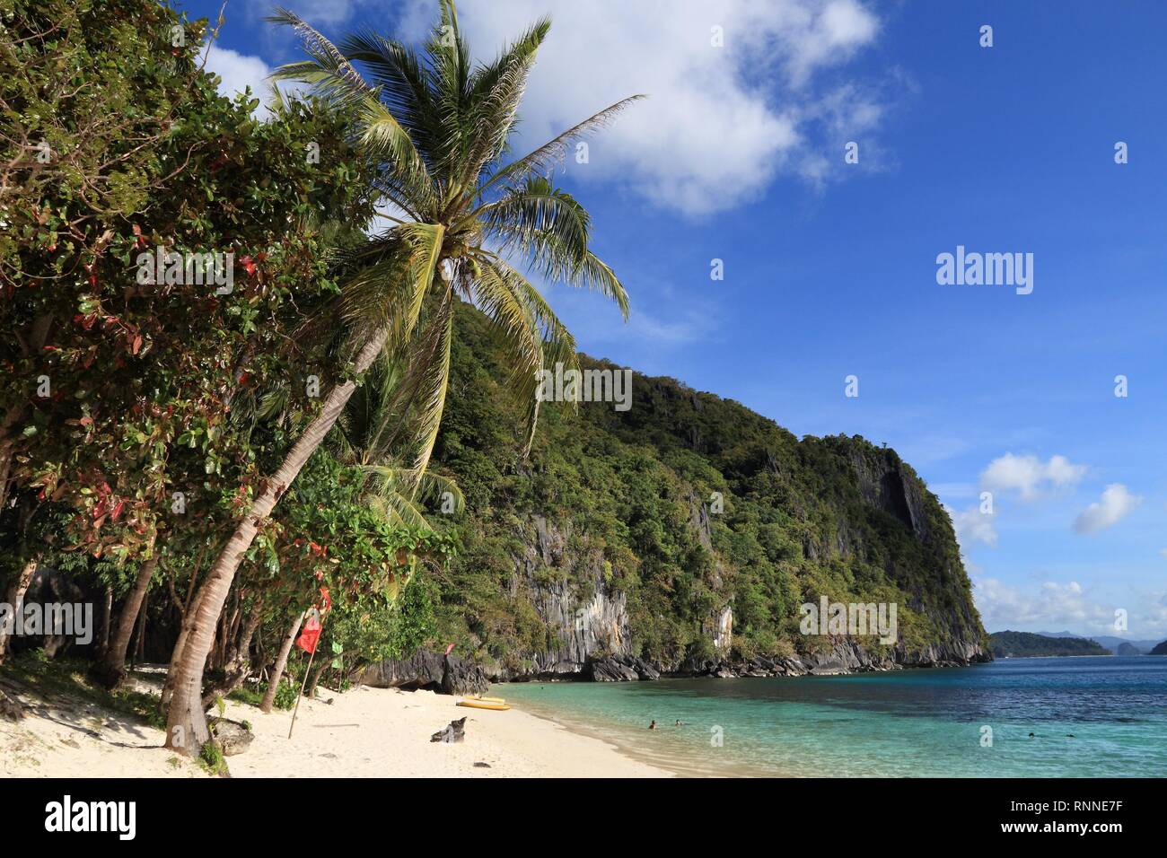 Natural landscape in Palawan island, Philippines. Papaya Beach Stock ...