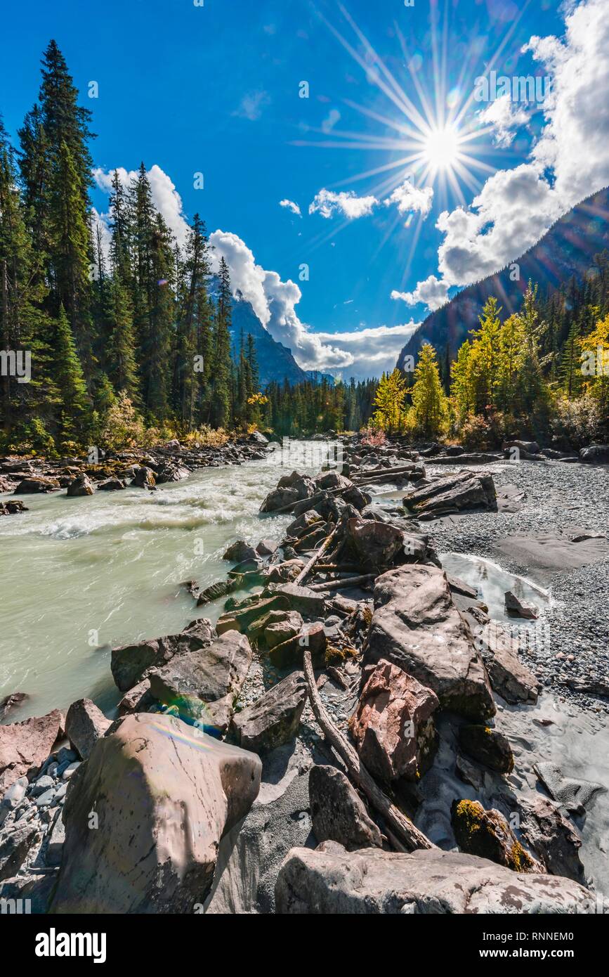 Wild River in Yoho Valley, Beautiful weather, Sky with Sun Star, Rocky ...