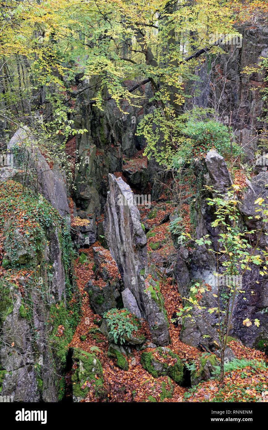 View over the rugged rocky landscape, deciduous forest in autumn ...