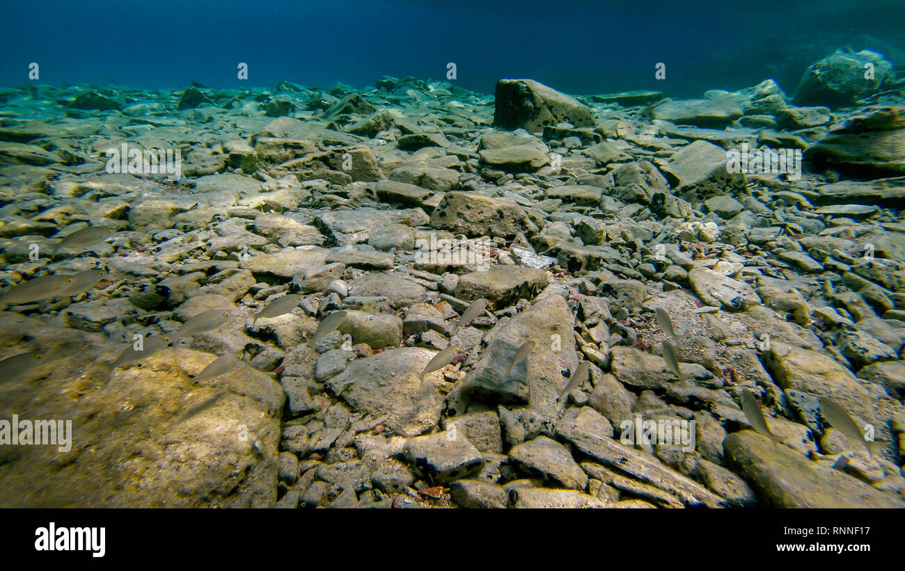 Underwater view on sea bottom full of stones of different shapes and ...