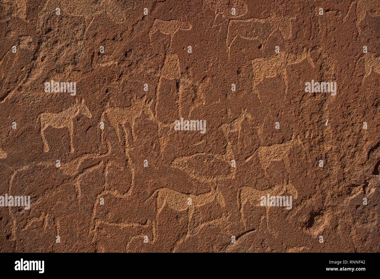 Ancient rock engravings, Twyfelfontein, Namibia Stock Photo - Alamy
