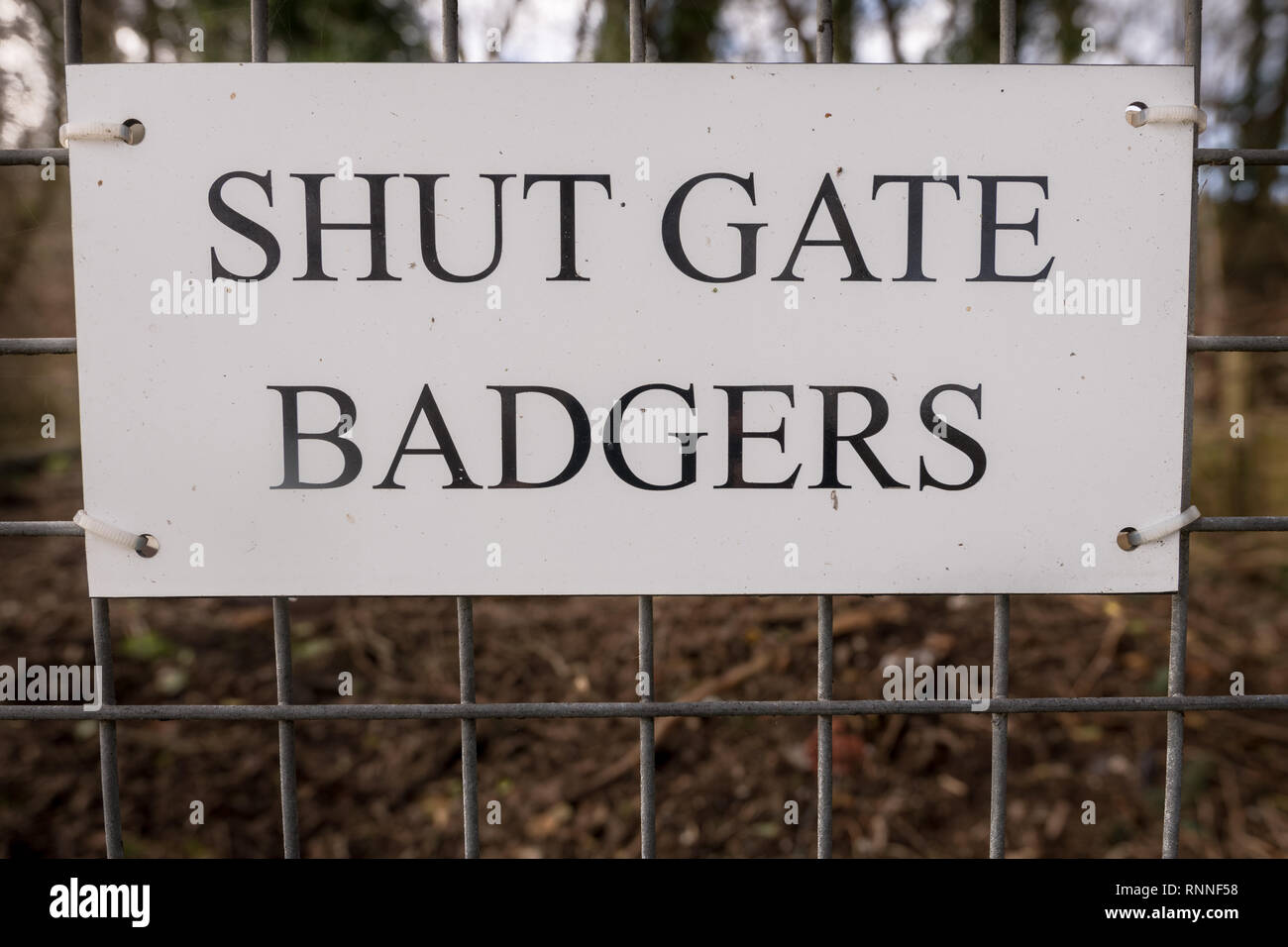 Badger Gate High Resolution Stock Photography and Images - Alamy