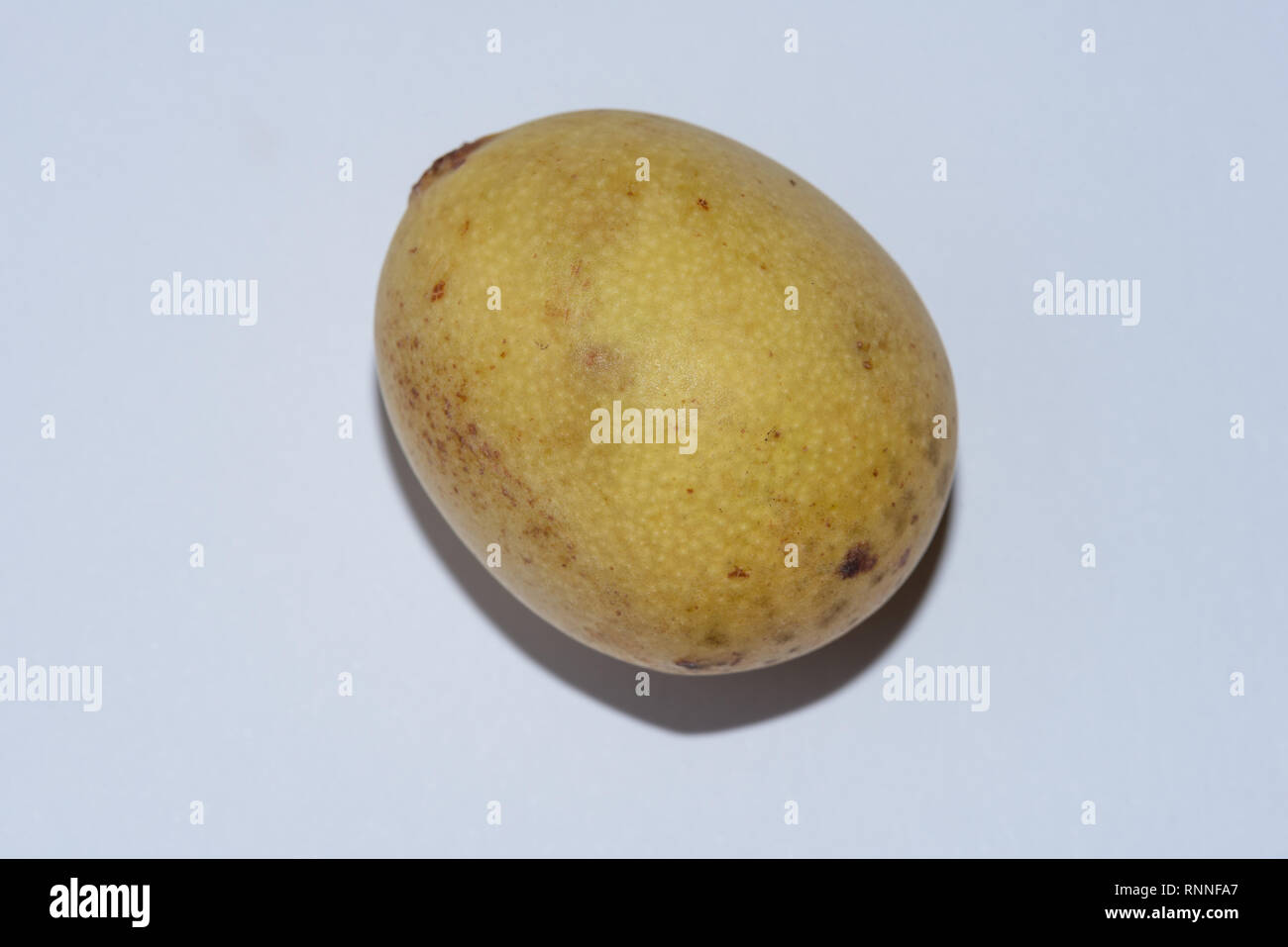 Sclerocarya hi-res stock photography and images - Alamy