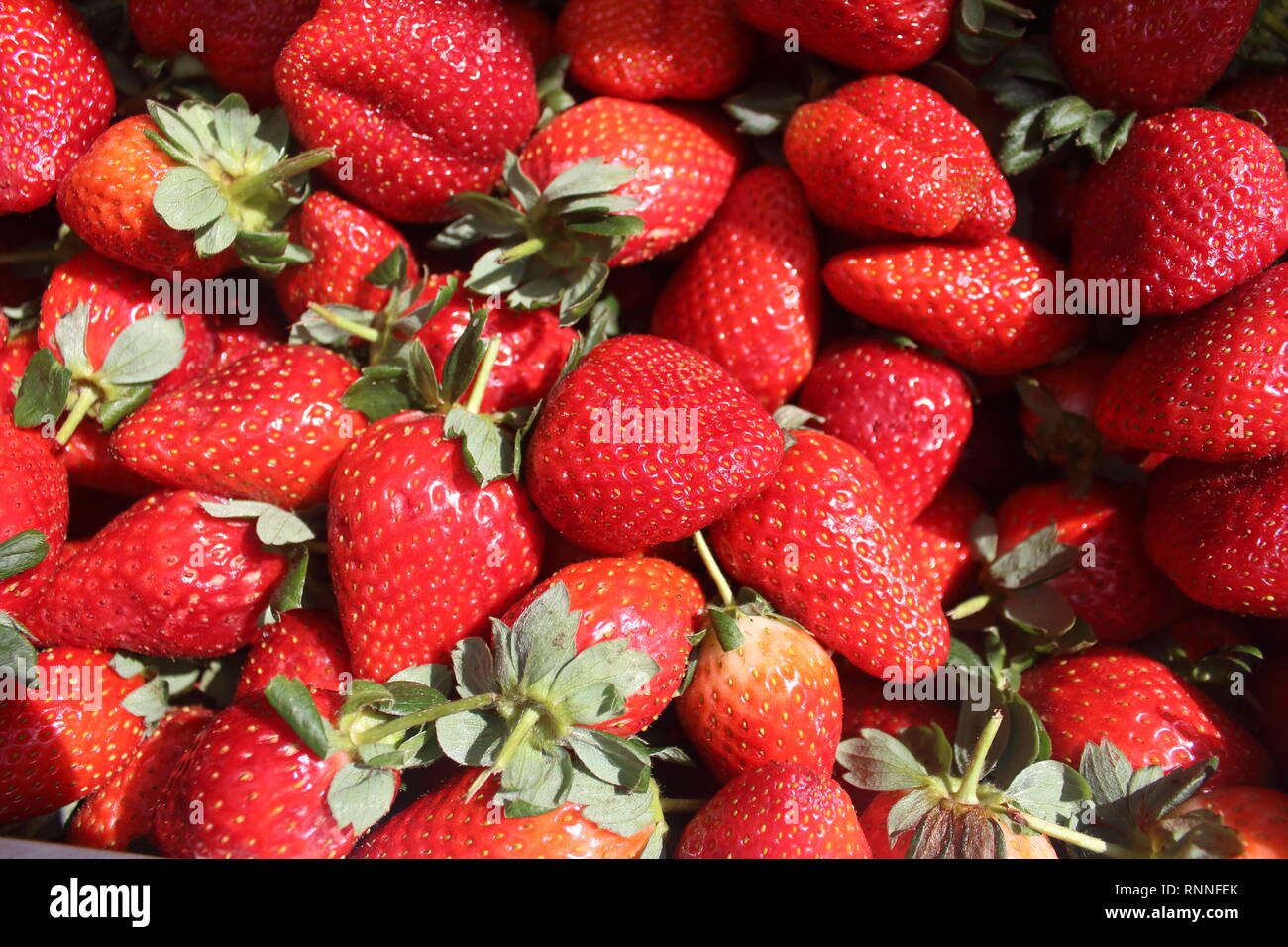 Organic produce tropical fruits, dried fruits, olives, kanafer Stock ...