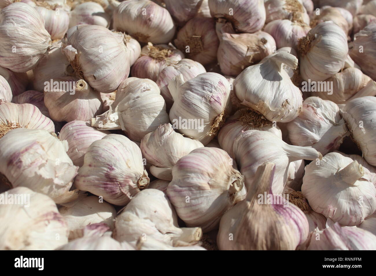 Organic produce tropical fruits, dried fruits, olives, kanafer Stock ...
