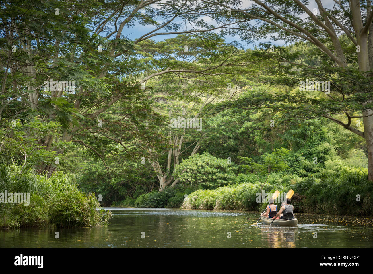 The Wailua River, Wailua, Kauai, Hawaii, is a popular and scenic place ...