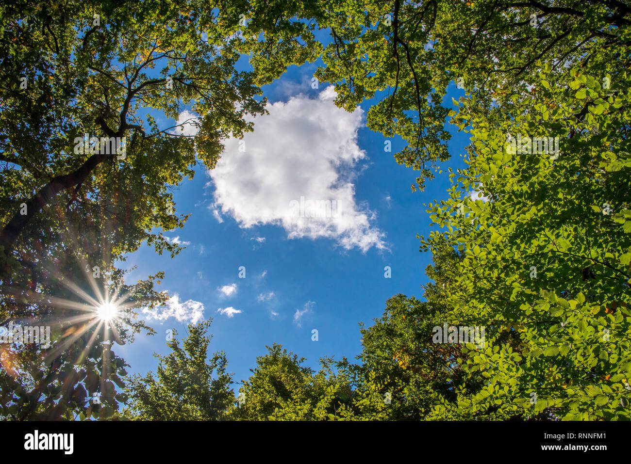 Sunlight shines through a cloud hi-res stock photography and images - Alamy
