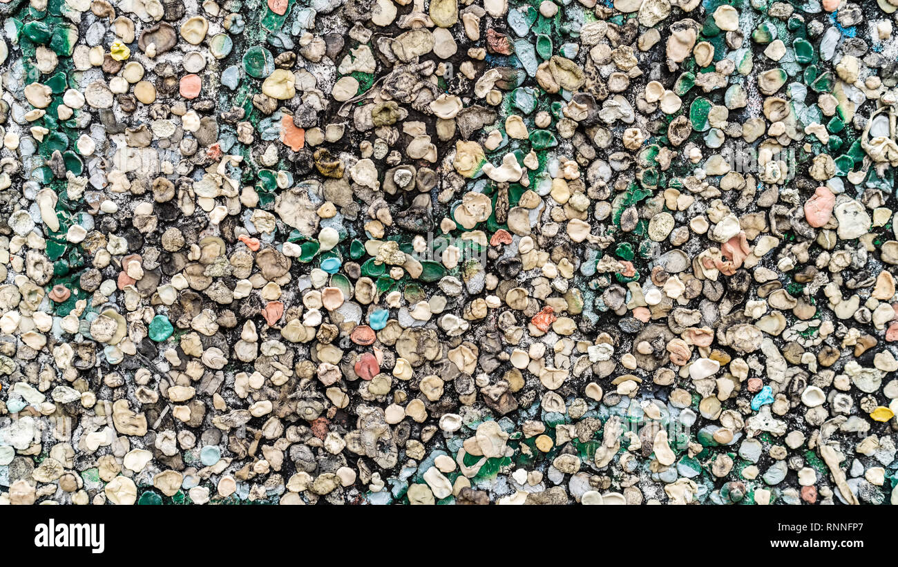 wall of seashells as background Stock Photo - Alamy