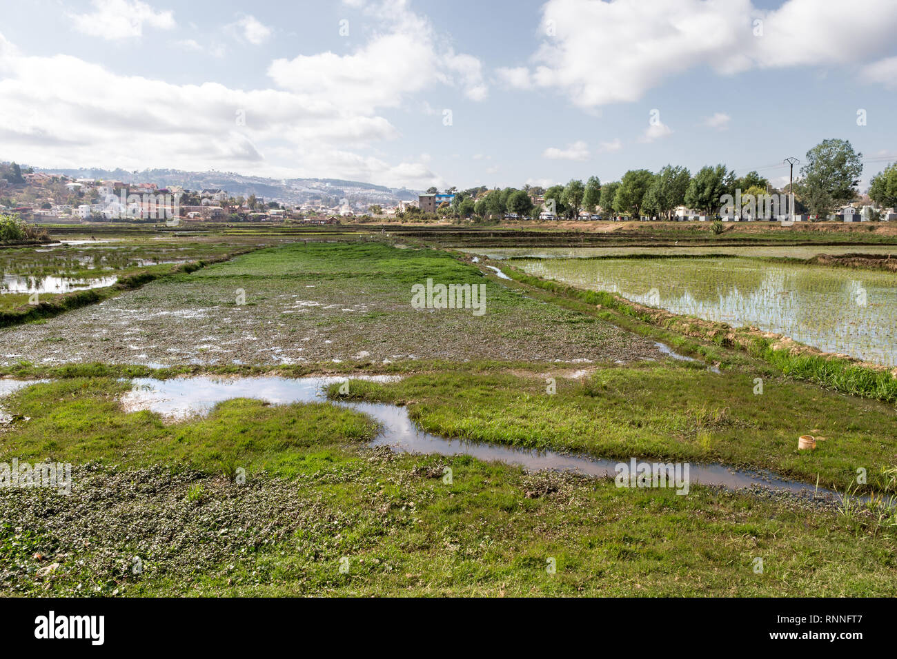 Rice paddy terrain hi-res stock photography and images - Alamy