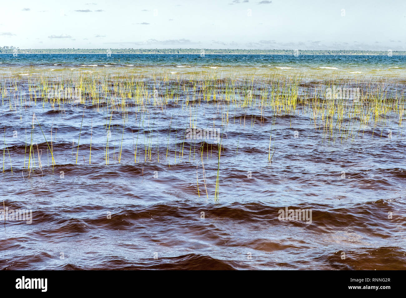 Madagascar Boat Ride High Resolution Stock Photography and Images - Alamy