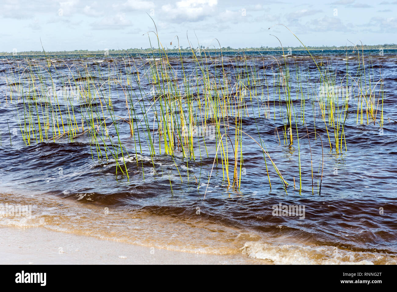 Madagascar Boat Ride High Resolution Stock Photography and Images - Alamy