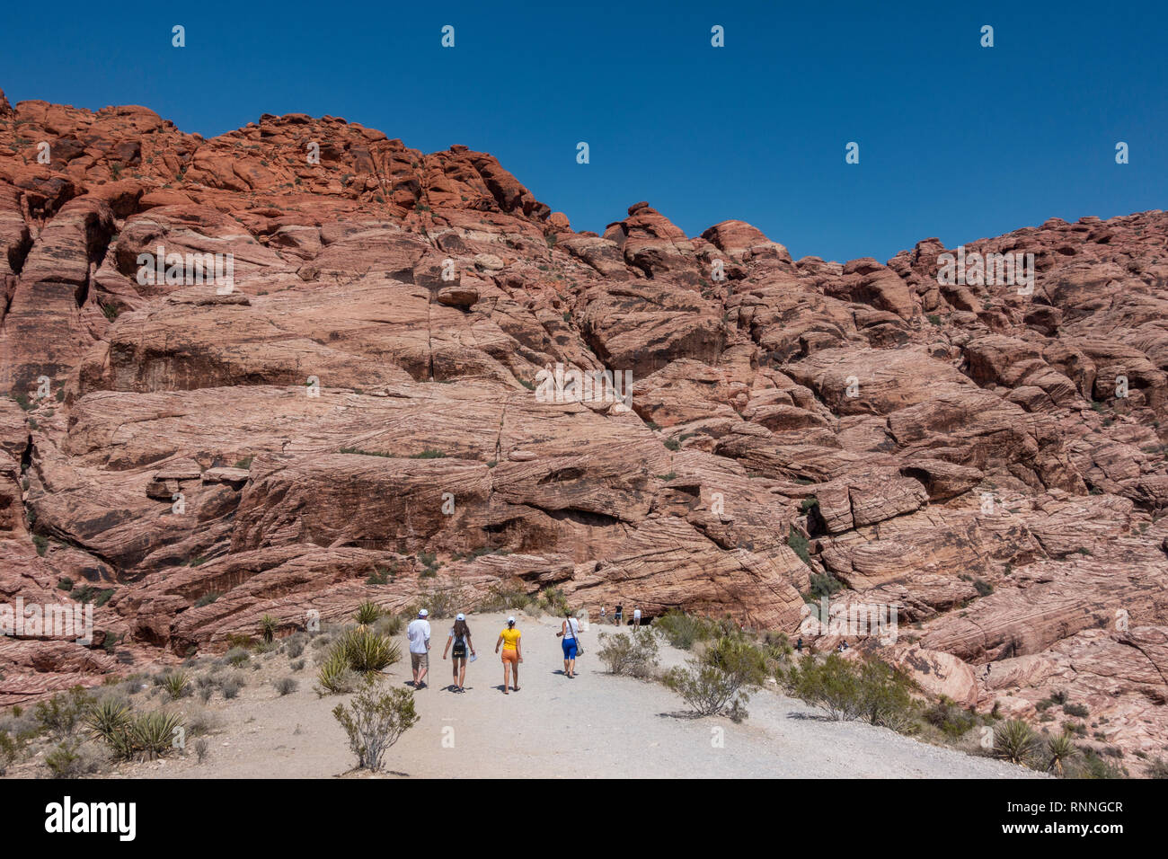 Tourists in front of the Calico Hills, Red Rock Canyon National ...