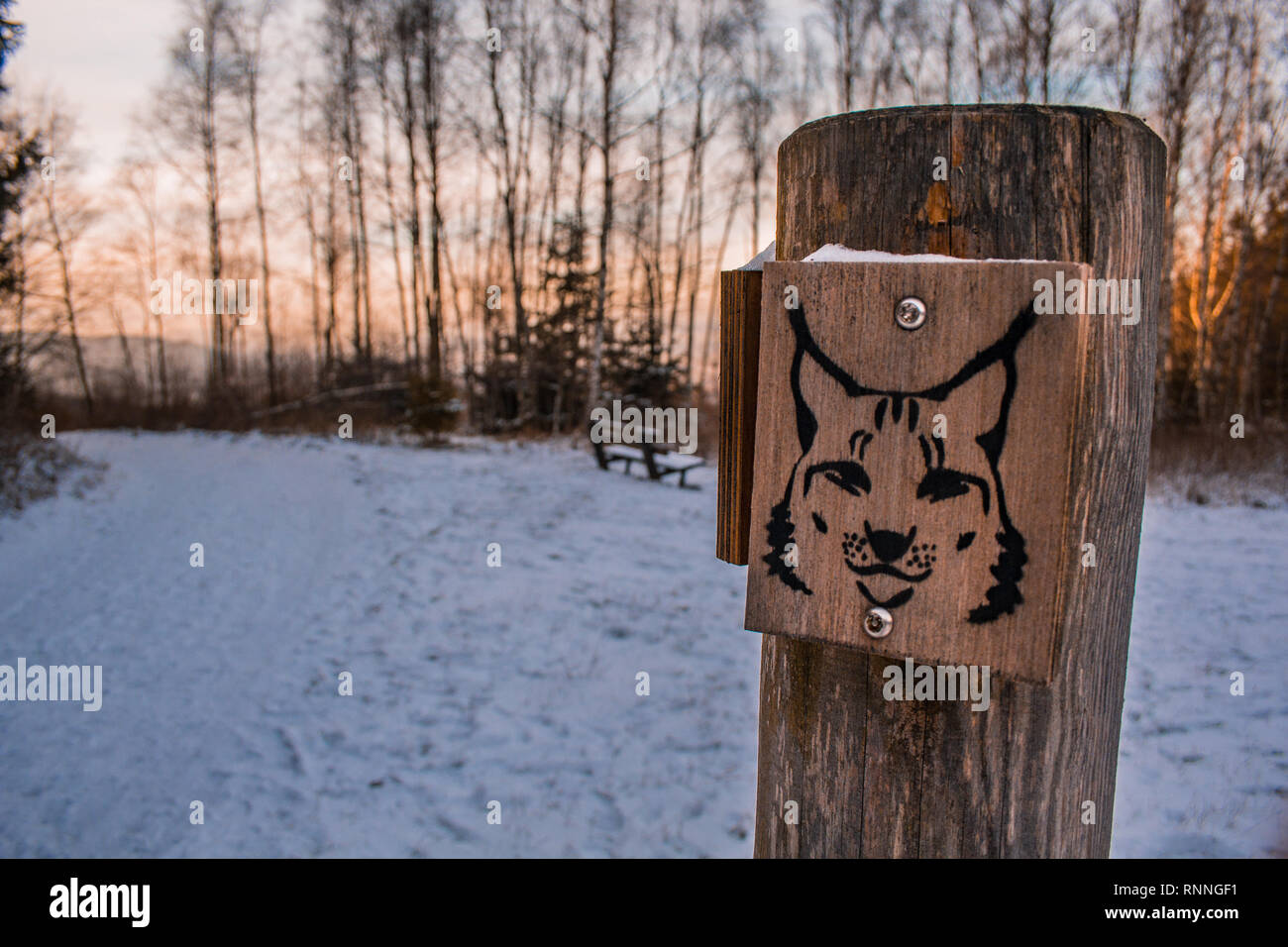 Lynx sign hi-res stock photography and images - Alamy