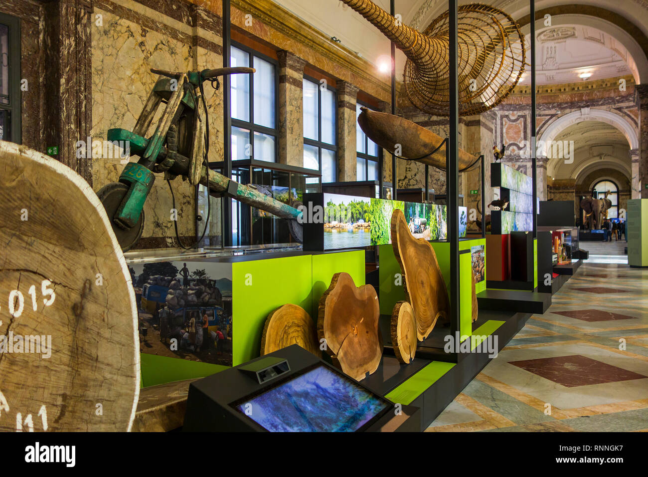 Interior of the AfricaMuseum / Royal Museum for Central Africa ...