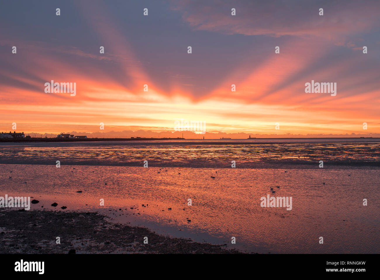 Sunrise over Bull Island in Dublin Ireland Stock Photo - Alamy