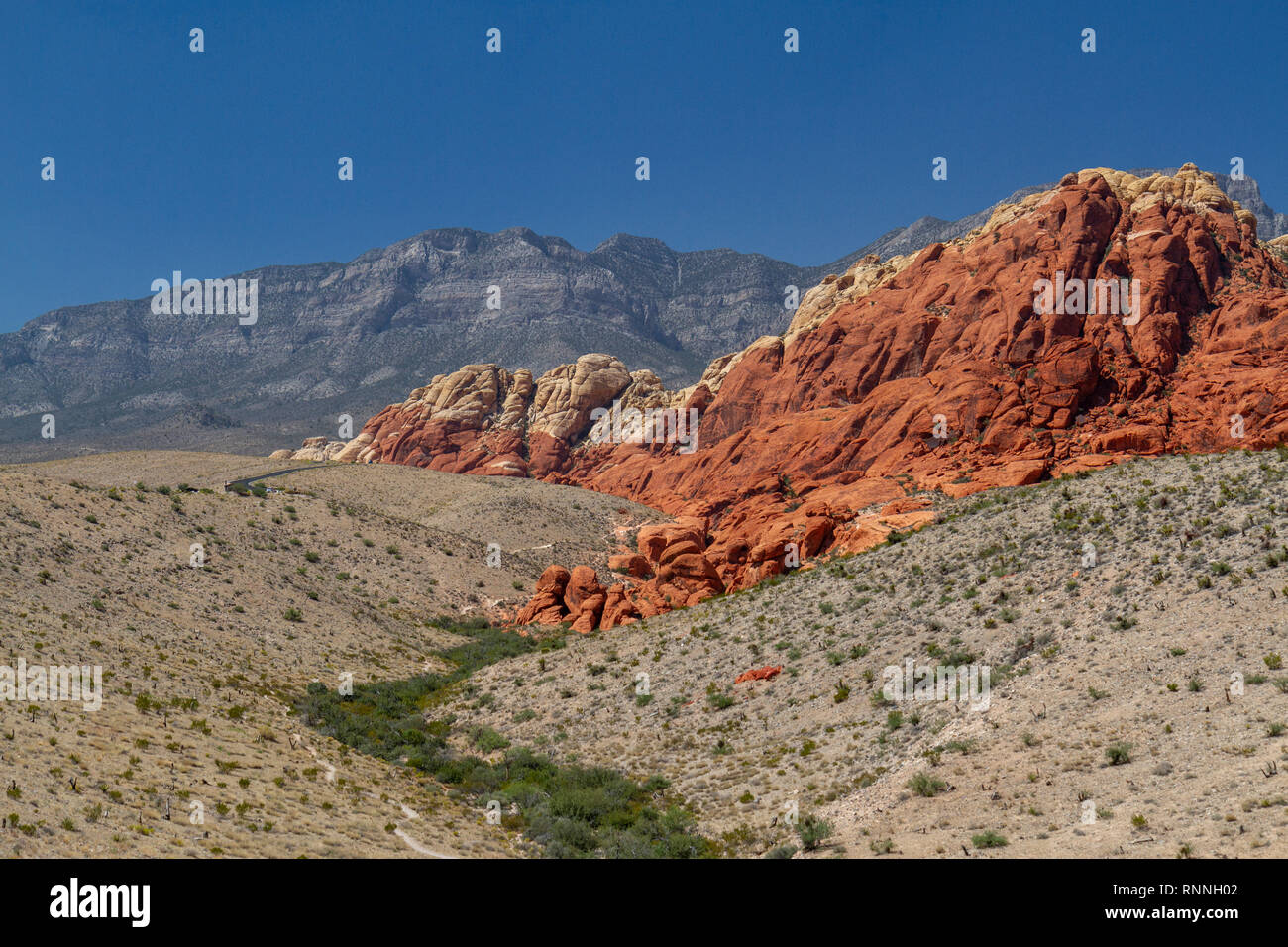 The Calico Hills, Red Rock Canyon National Conservation Area, Las Vegas ...