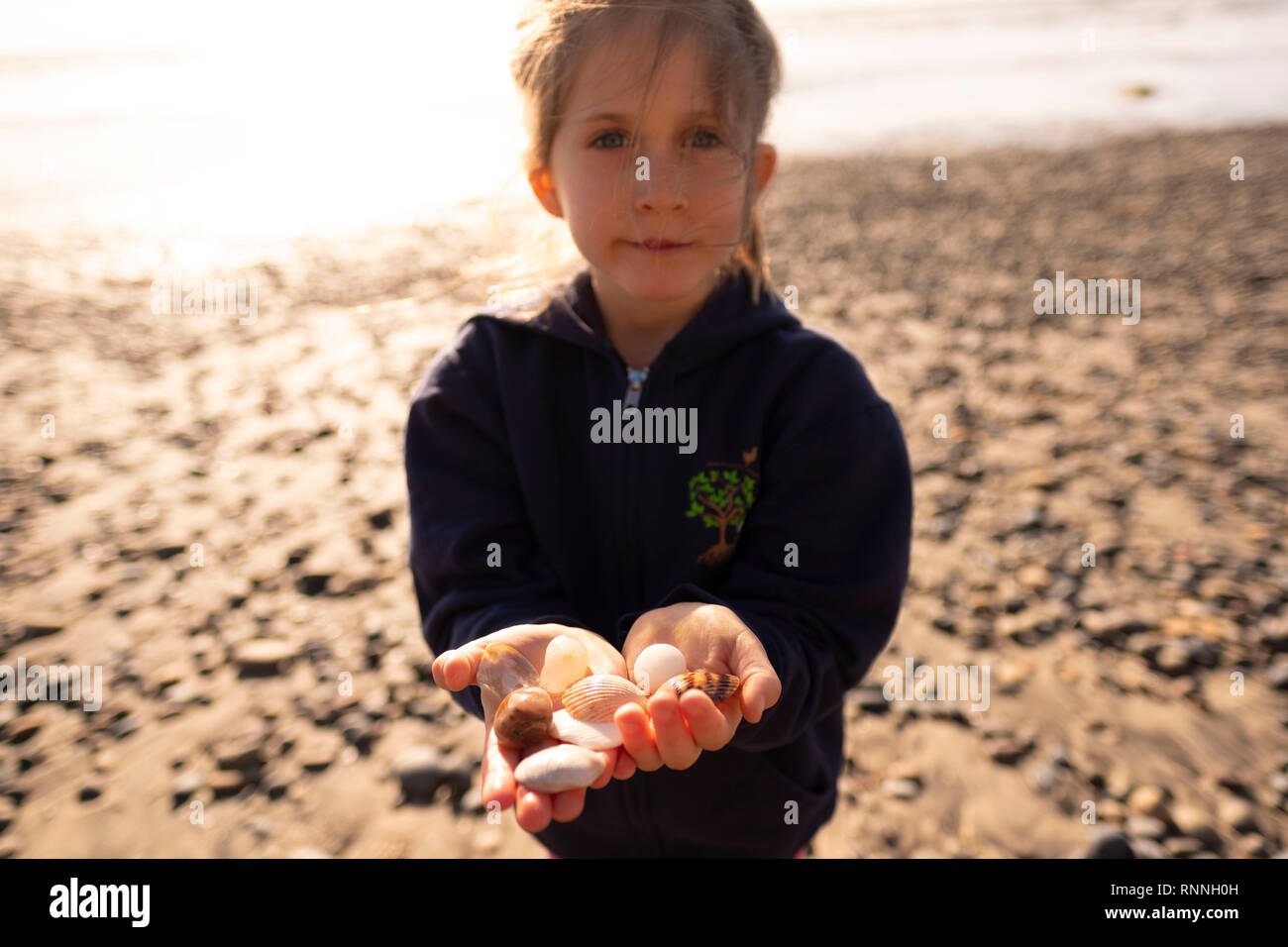 Holding sea shells hi-res stock photography and images - Alamy