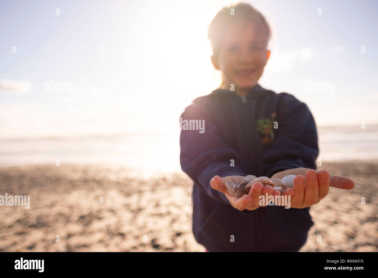 Holding sea shells hi-res stock photography and images - Alamy