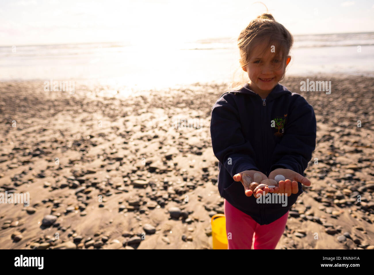 Hands holding shells beach hi-res stock photography and images - Alamy