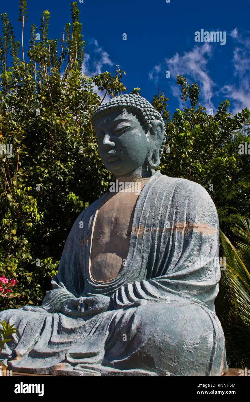 Buddha side view hi-res stock photography and images - Alamy