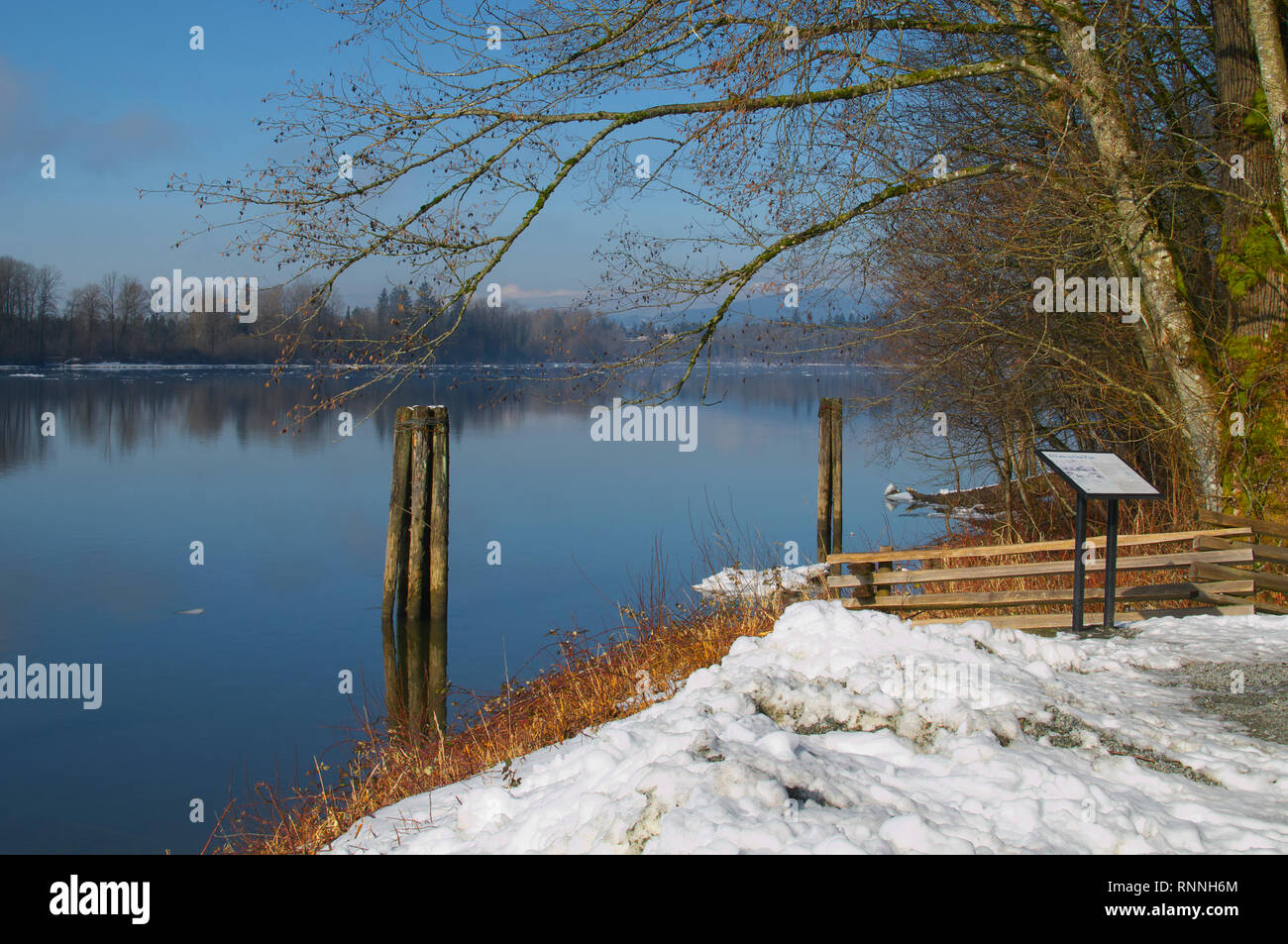 Fraser River from the shoreline in Kanaka Creek Riverfront Regional ...