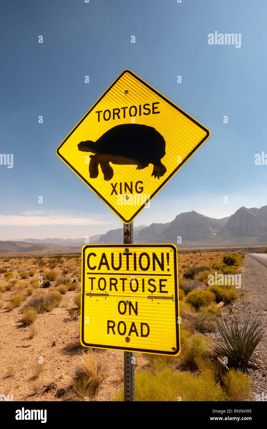 Tortoise warning sign hi-res stock photography and images - Alamy