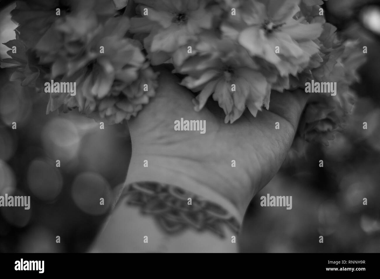 Amazing blossom Black and White Stock Photos & Images - Alamy