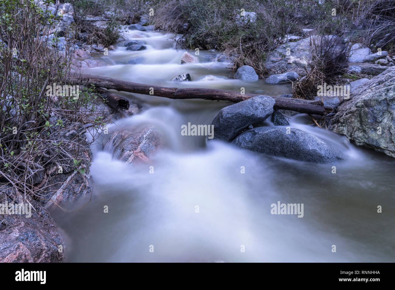 Log crossing fast creek near Eaton Canyon Falls in the San Gabriel ...