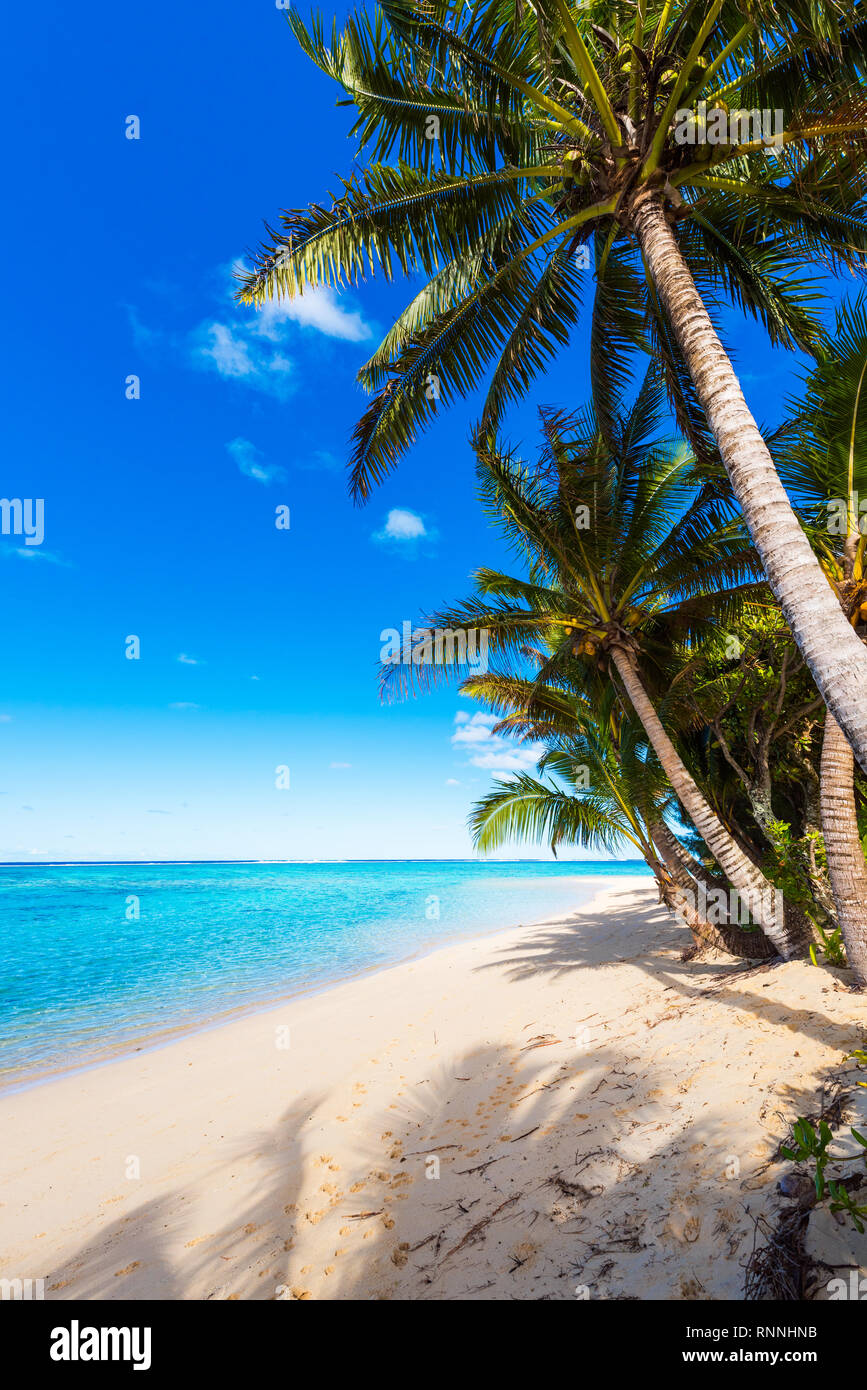 View of the sandy beach, Cook Islands, South Pacific. Copy space for ...