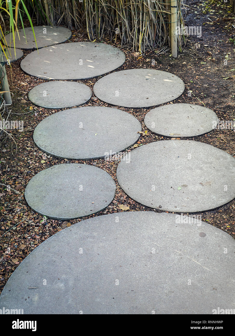Circle concrete slab path in the garden Stock Photo - Alamy