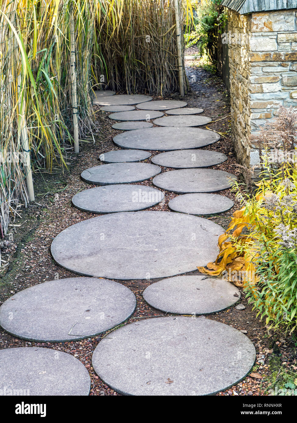 Circle concrete slab path in the garden Stock Photo - Alamy