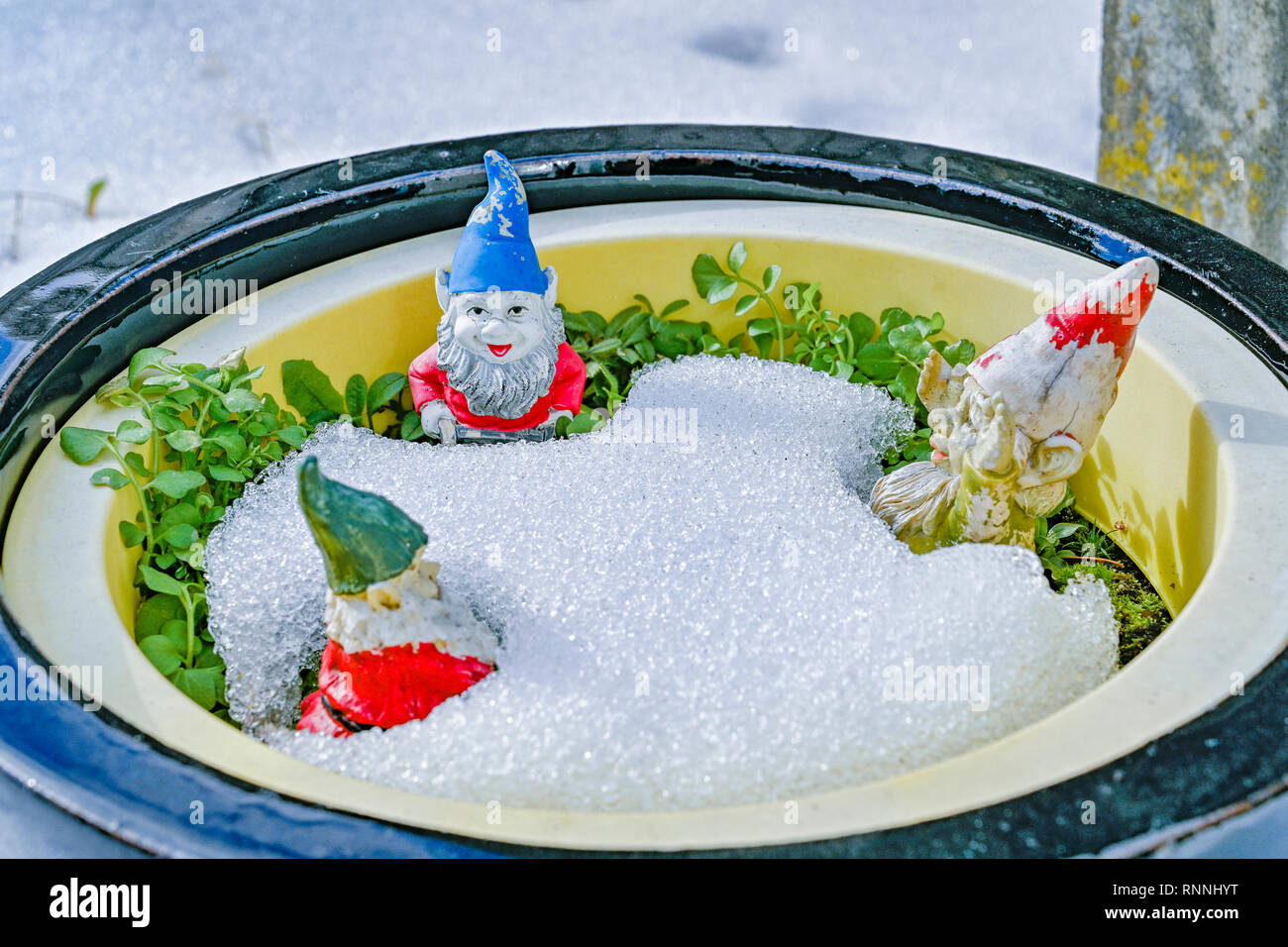 Garden gnomes in snow Stock Photo - Alamy