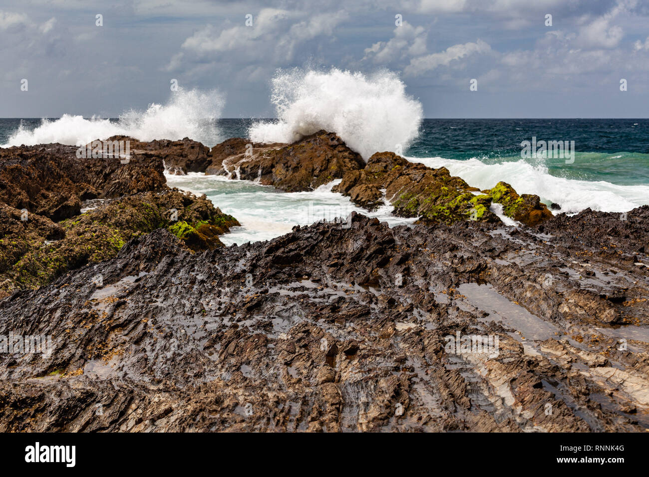 Snapper rocks hi-res stock photography and images - Alamy