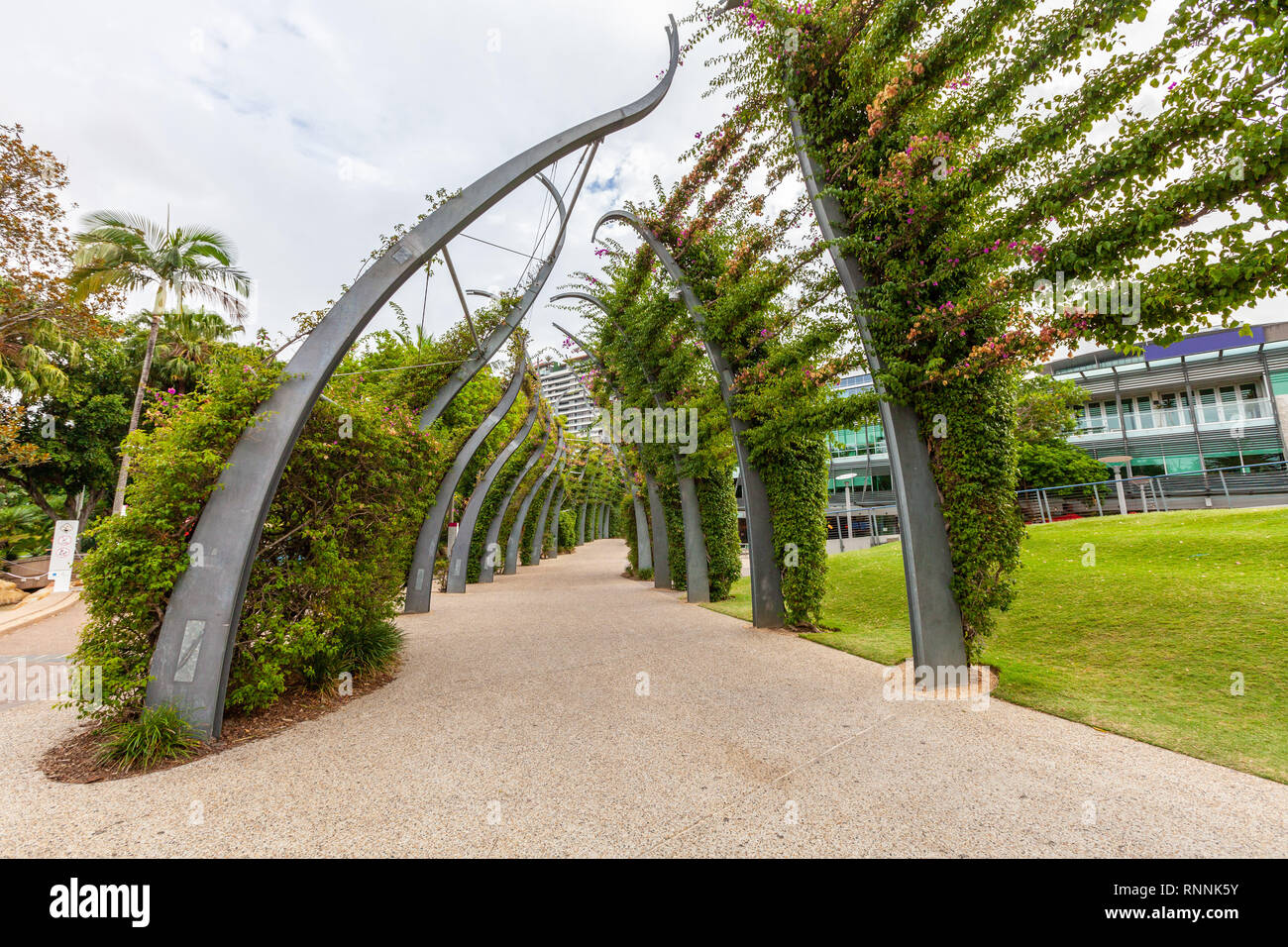 Walking path among beautiful greenery at South Bank parklands. Brisbane ...