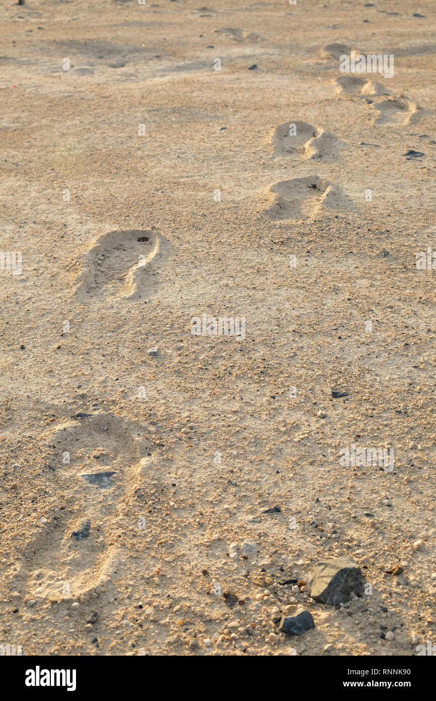 Shoeprints Stock Photos & Shoeprints Stock Images - Alamy