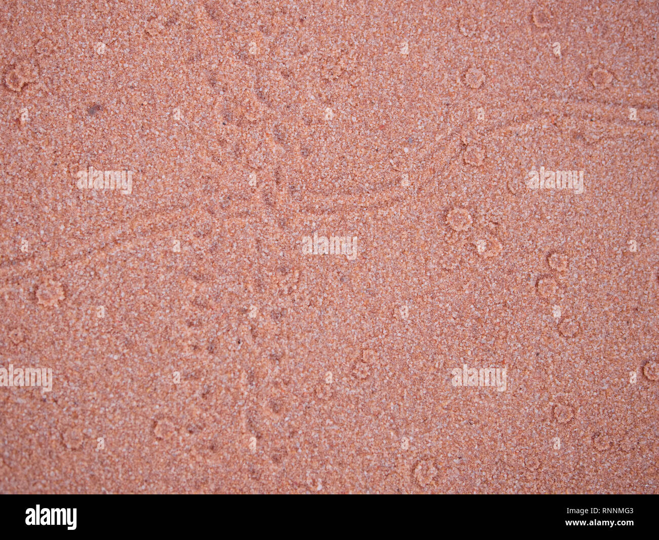 Mouse tracks hi-res stock photography and images - Alamy