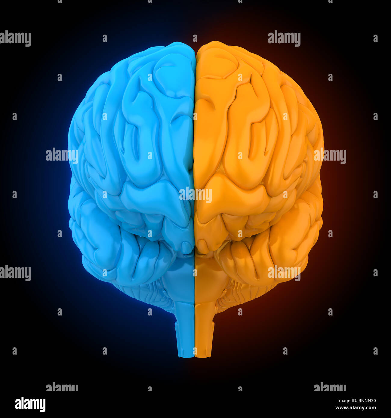 Left hemisphere brain hi-res stock photography and images - Alamy