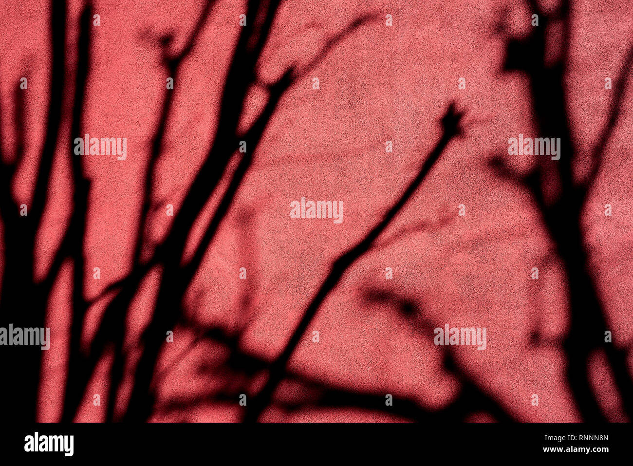 Backdrop Ideas Stock Photos & Backdrop Ideas Stock Images - Alamy