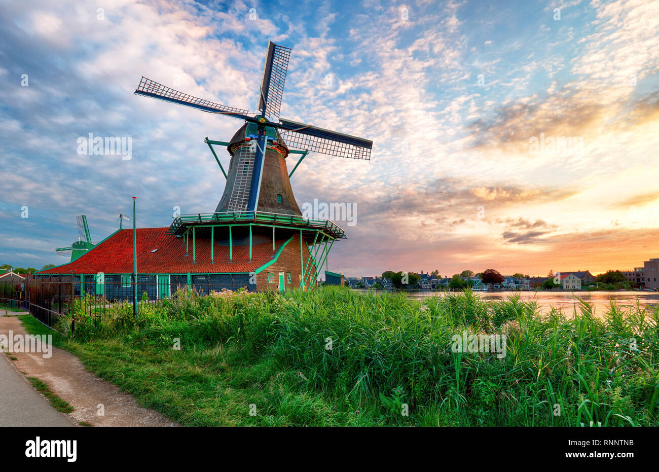 Windmills tulips in kinderdijk netherlands hi-res stock photography and ...