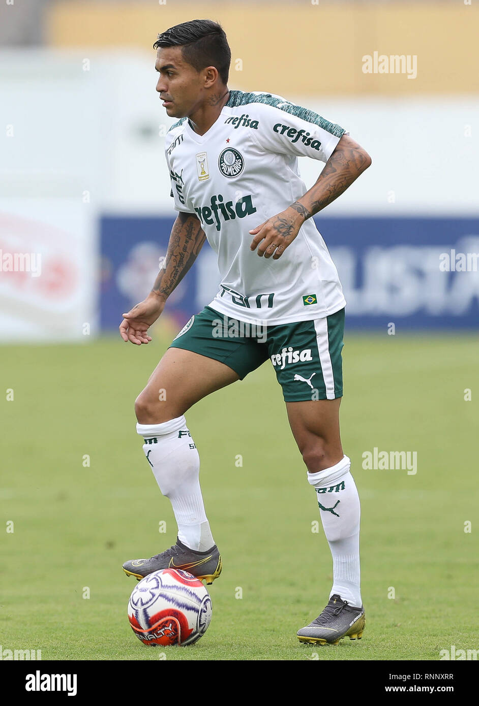 Araraquara, Brazil. 17th Feb, 2019. The player Dudu, from SE Palmeiras ...