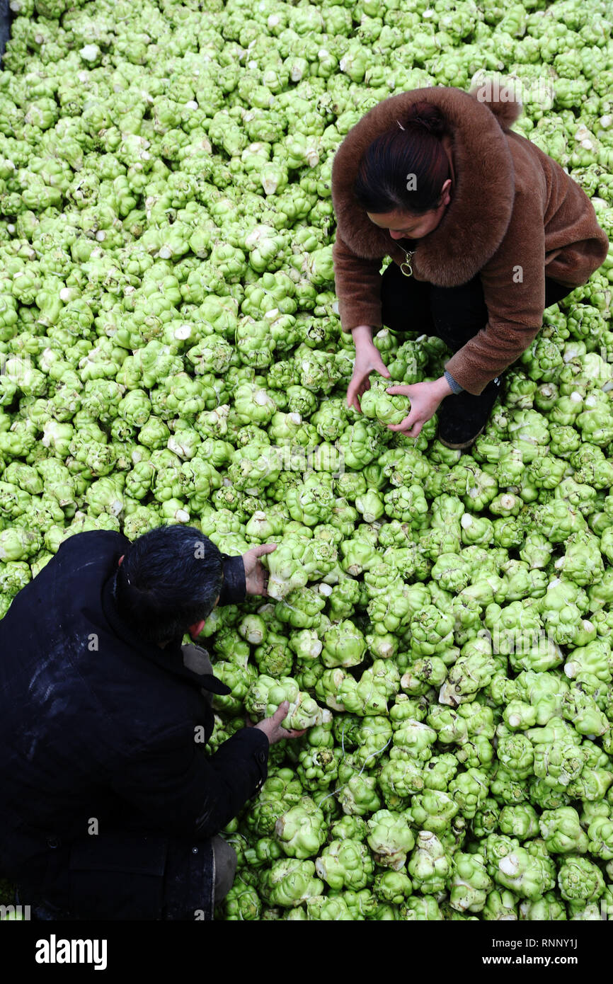 Chongqing, Chongqing, China. 19th Feb, 2019. Chongqing, CHINA-Peasants ...