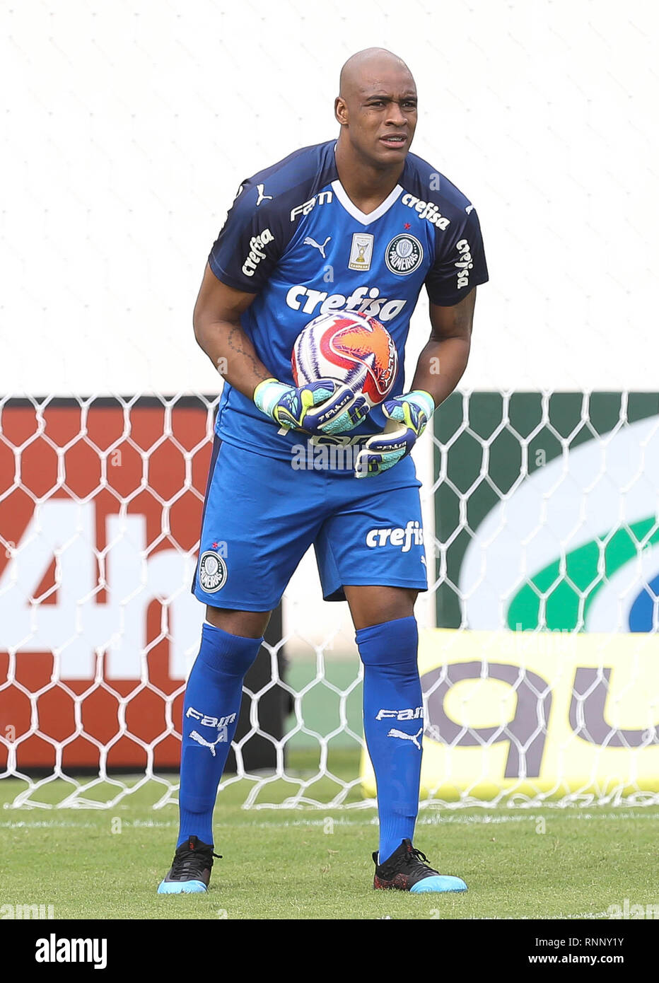Araraquara, Brazil. 17th Feb, 2019. Goalkeeper Jailson, from SE ...