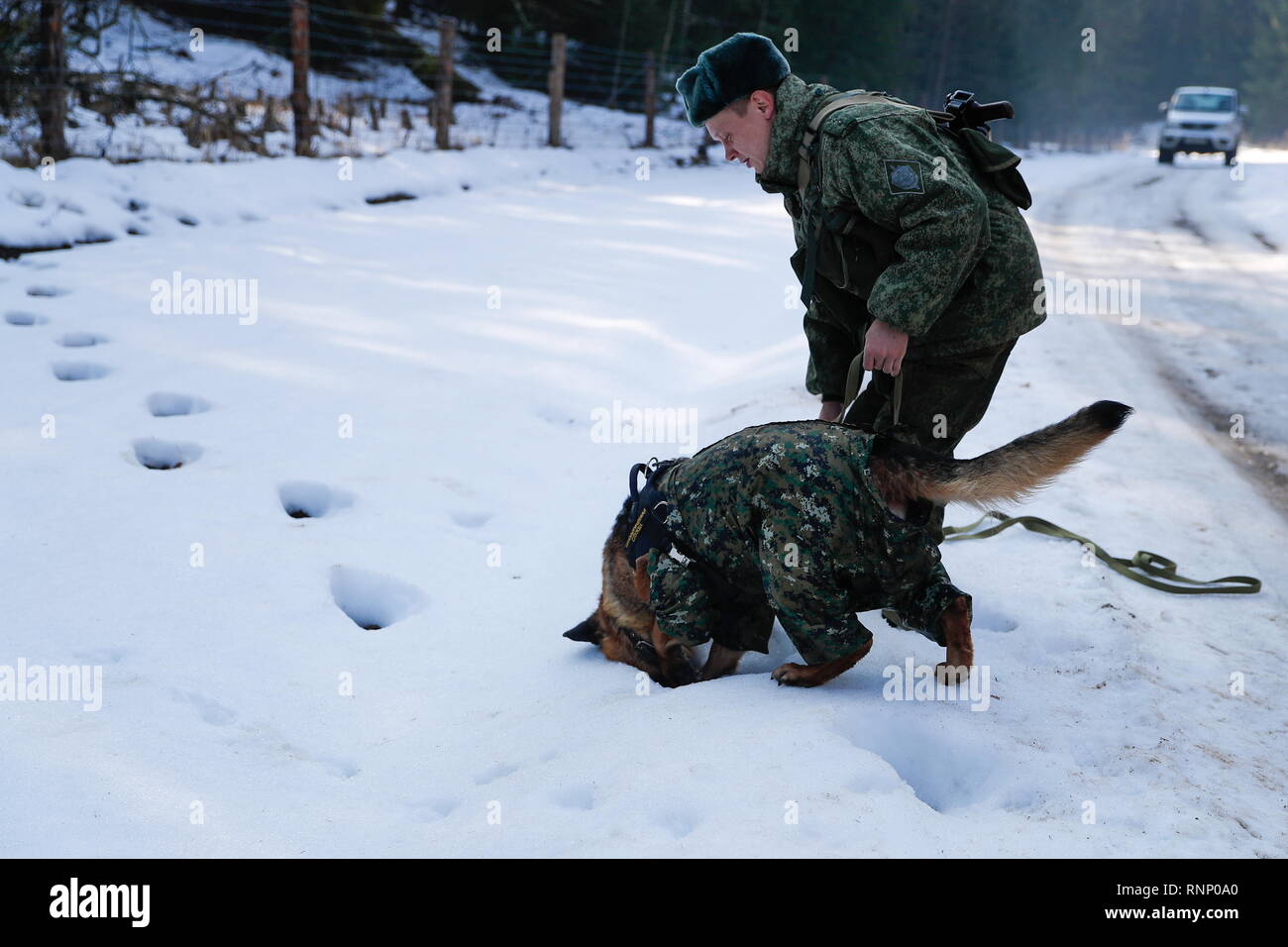 Border Patrol With Dog High Resolution Stock Photography and Images - Alamy