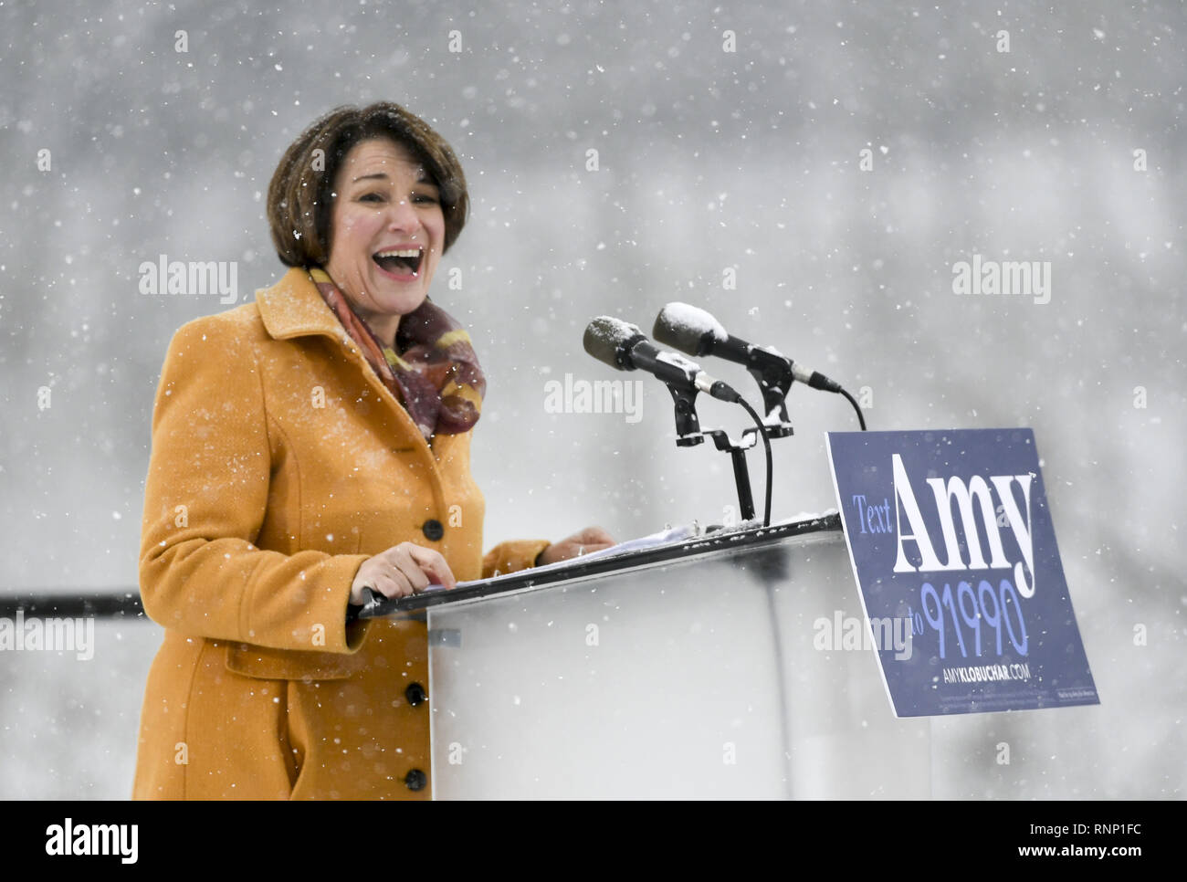 Minneapolis, Minnesota, USA. 10th Feb, 2019. US Sen. AMY KLOBUCHAR ...